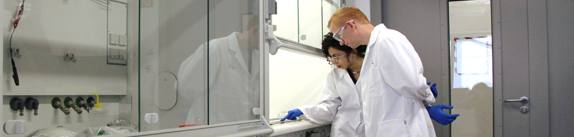 ZSW: Stellenangebote